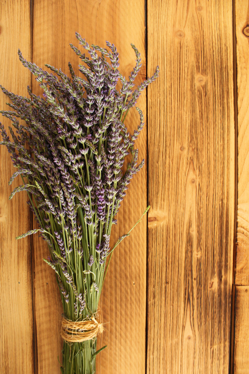 Products – Lavender Fields Forever LLC