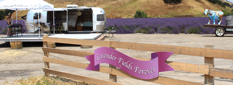 Hours & Location – Lavender Fields Forever LLC